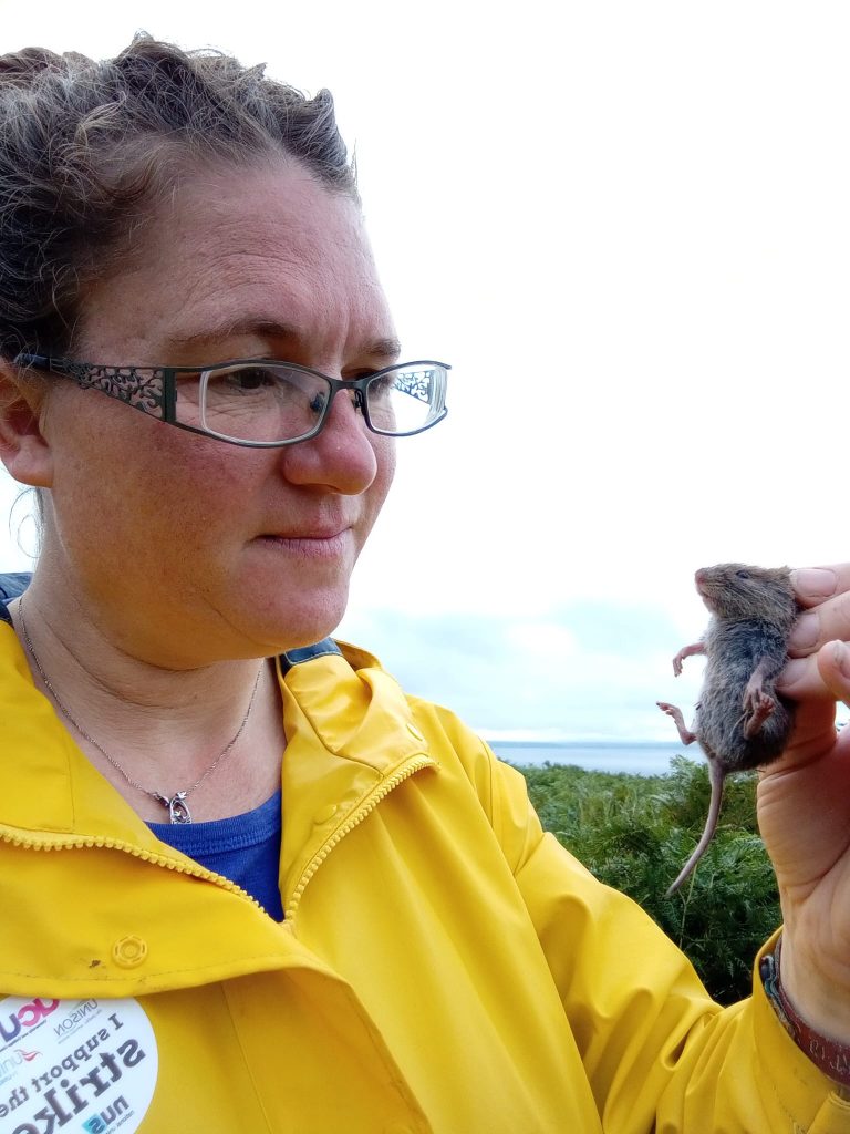The vole truth: observing our native endemic vole subspecies on skomer ...